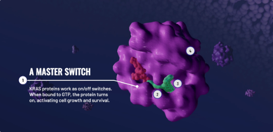 Mechanism of Action | KRAZATI® (adagrasib) for NSCLC