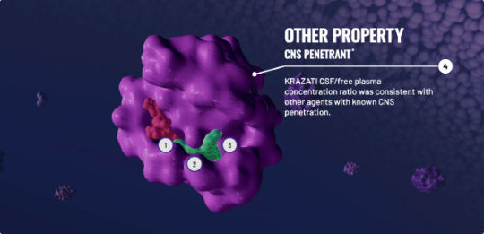 Mechanism of Action | KRAZATI® (adagrasib) for NSCLC